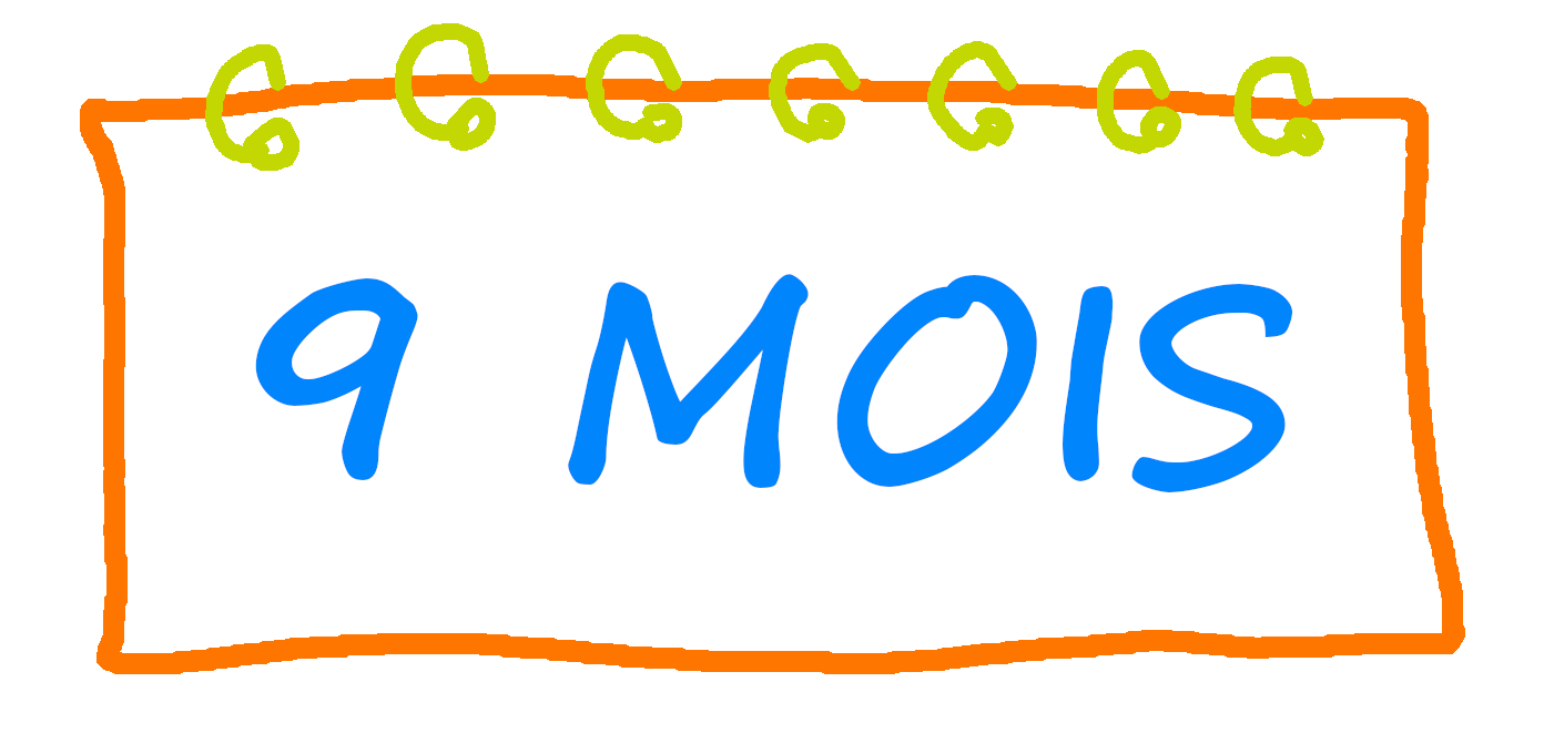 04 janvier 20 - Bilan - 9ème mois de voyage - Roulez Doudous